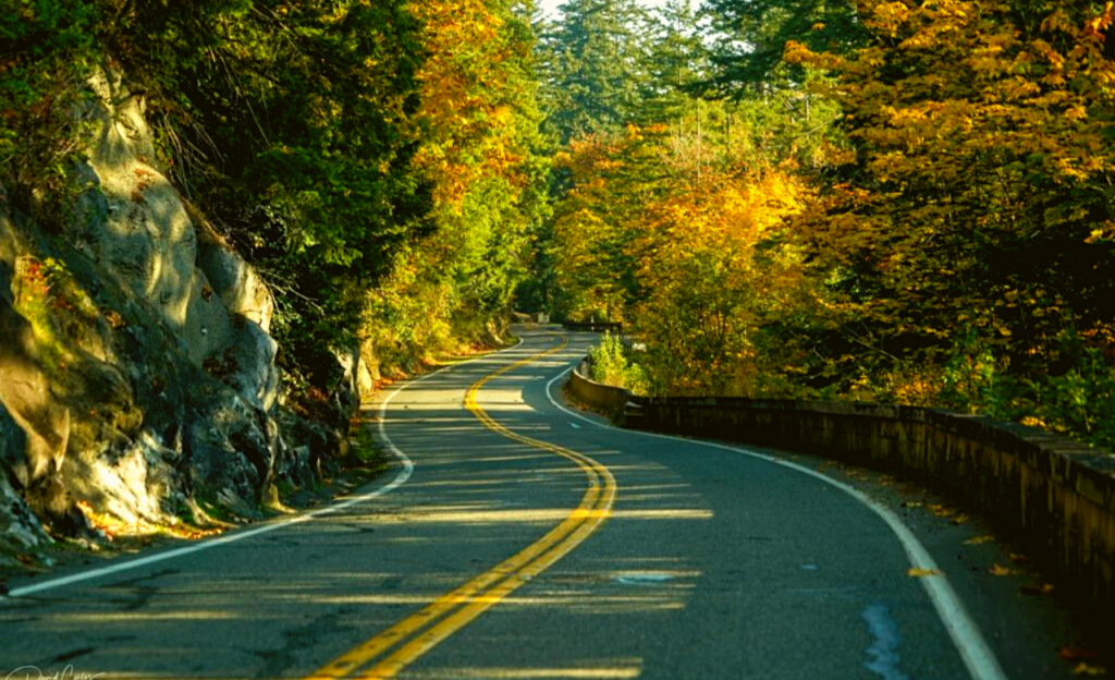 25 Best & Fun Things to do in Bellingham WA - 2025