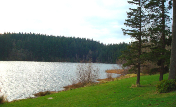 25 Best & Fun Things to do in Bellingham WA - 2025