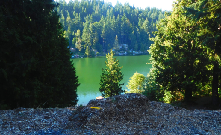 25 Best & Fun Things to do in Bellingham WA - 2026