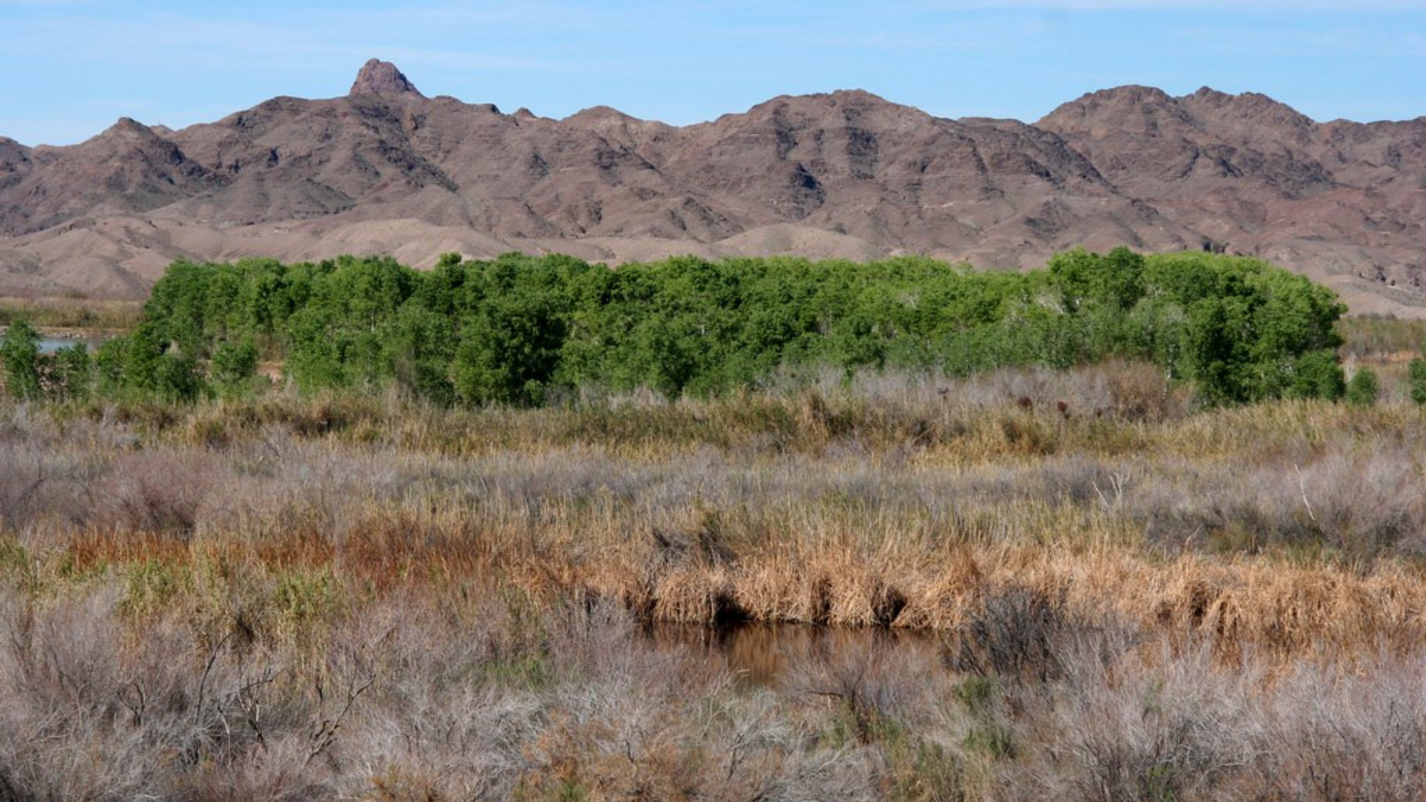 28 Fun Things To Do In Yuma Az (Arizona) - 2026