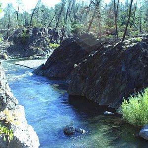 28 Best & Fun Things To Do In Redding California VastTourist