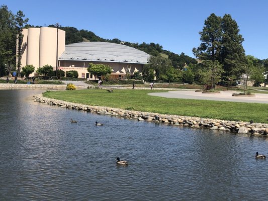 15 Best & Fun Things To Do In San Rafael CA (California) - VastTourist