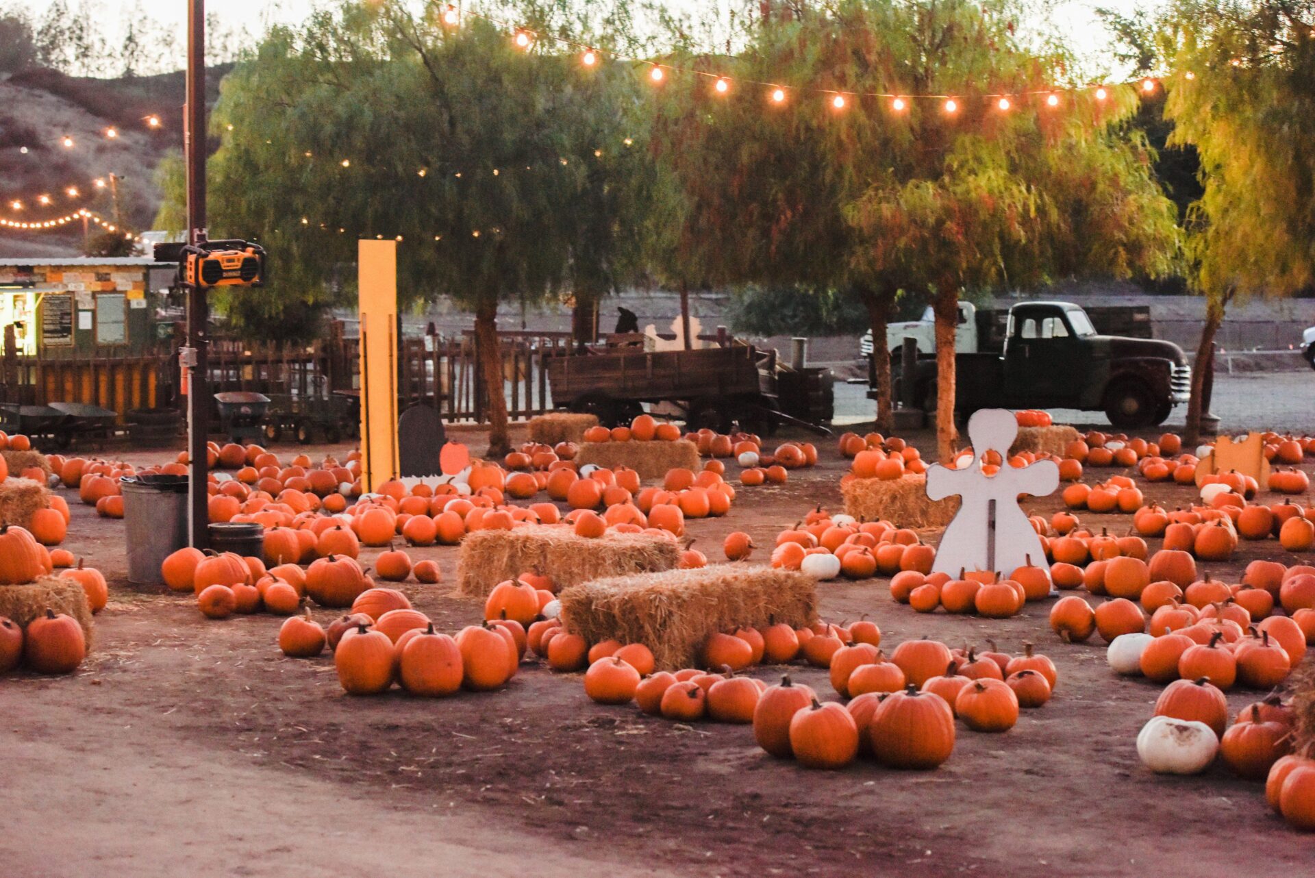 28 Best & Fun Things To Do In Temecula VastTourist