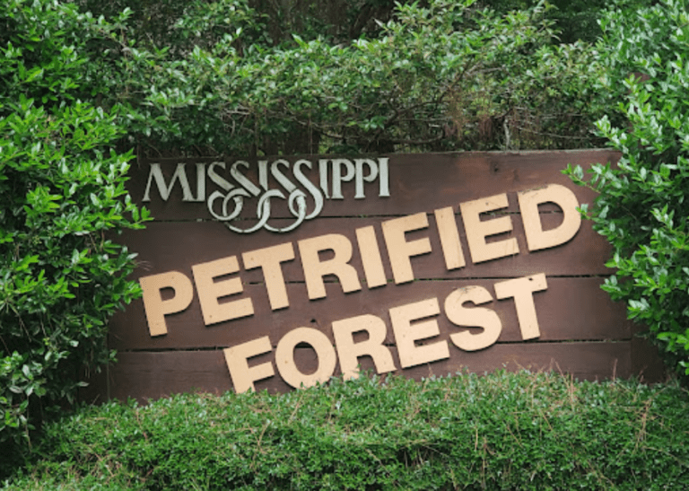 20 Fun Things To Do In Flowood Ms: Amazing Places You Cant Wait To ...