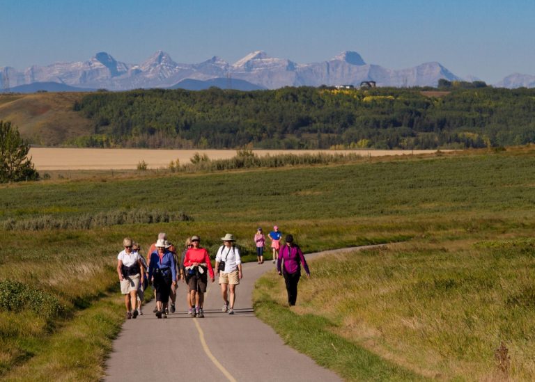 20 Best things to do in Cochrane - 2025