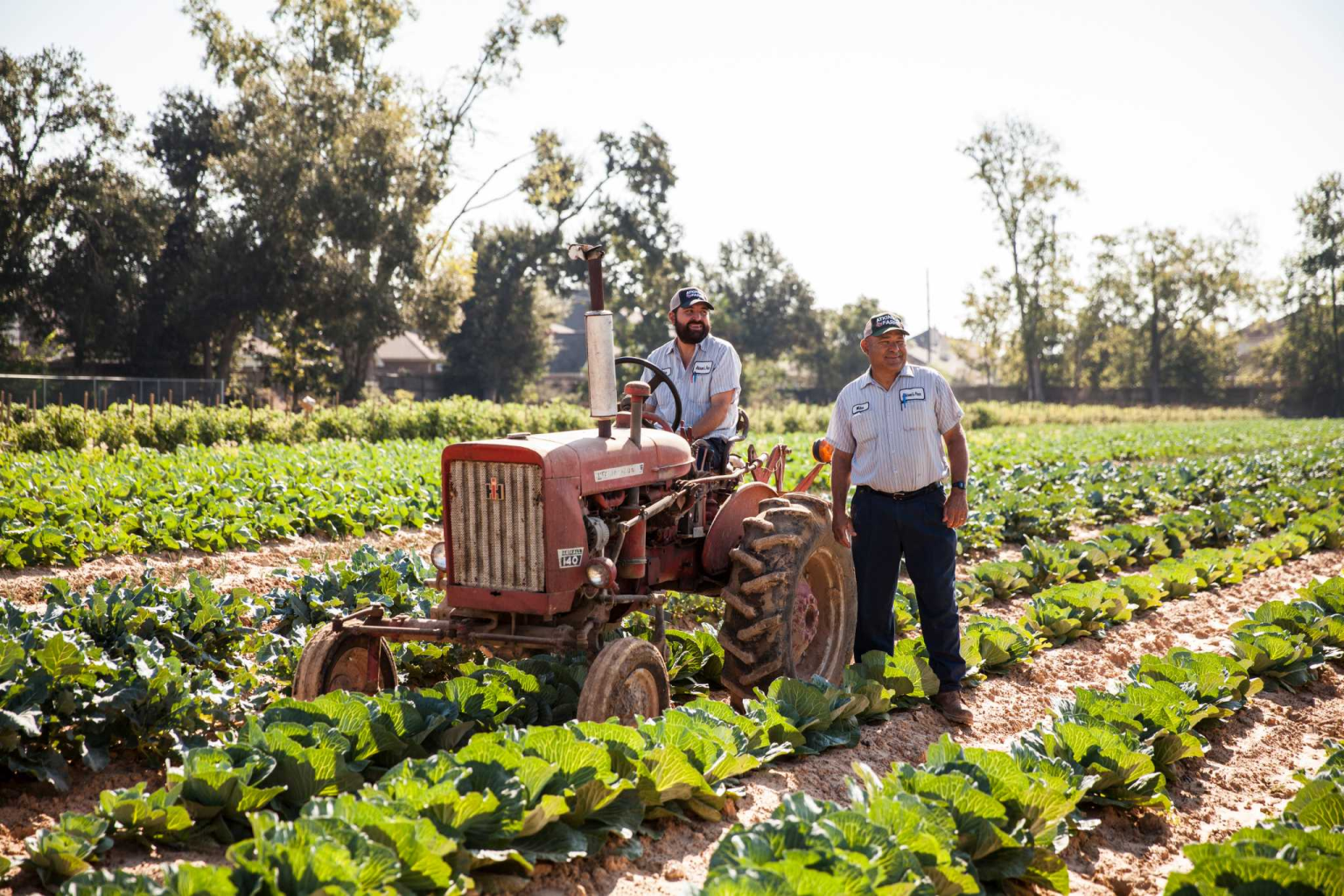 20 Fun Things To Do In Spring, Texas - 2026