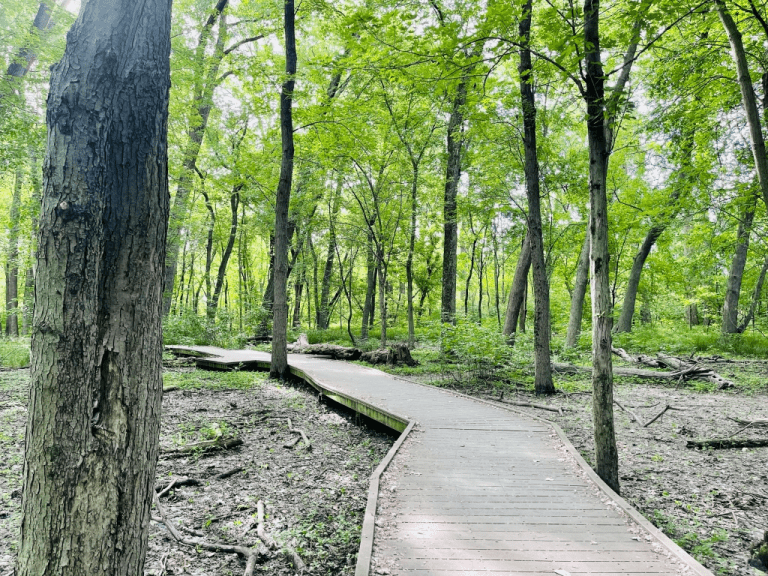 20 Best things to do in Fishers, Indiana - 2026
