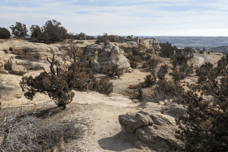 20 Fun things to do in Farmington, NM For your Next Adventure - 2025