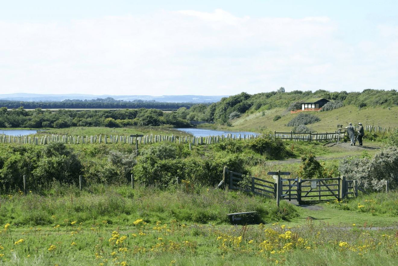 Hauxley Nature Reserve - 2025